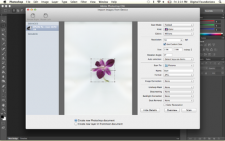 7.1 Exercise 1: Creating a scanogram and understanding file resolution ...