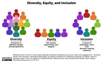 1.2 Diversity, Equity, and Inclusion – Doing the Work: Diversity ...