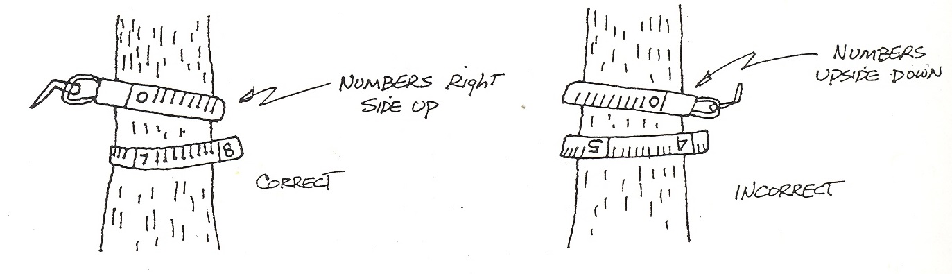 3.3 Instruments for Measuring Tree Diameter – Forest Measurements