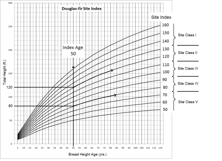 6.2 Overview of Site Index – Forest Measurements 6.2 Overview of Site Index – Forest Measurements